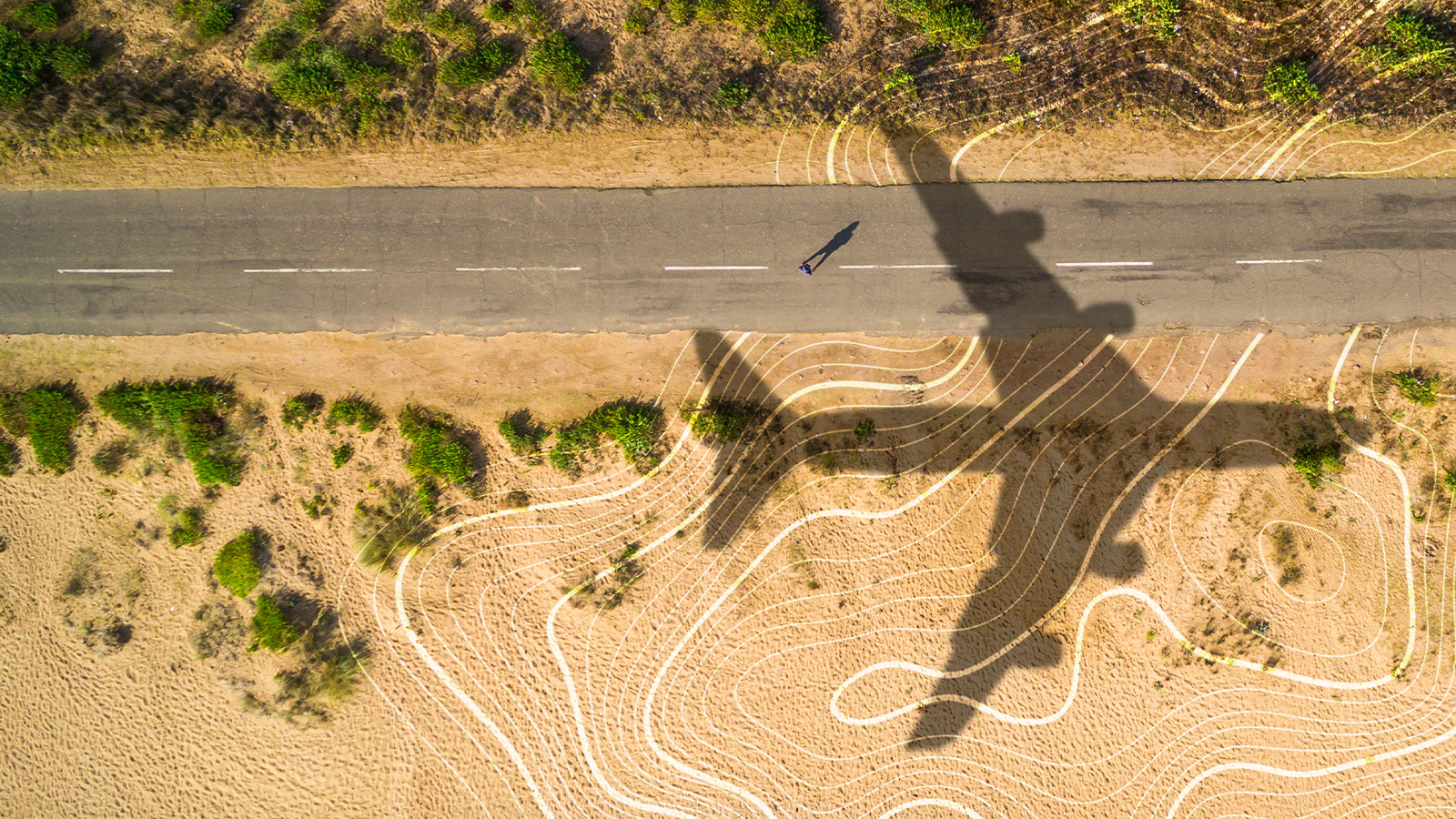 International air cargo, air freight services | Ligentia